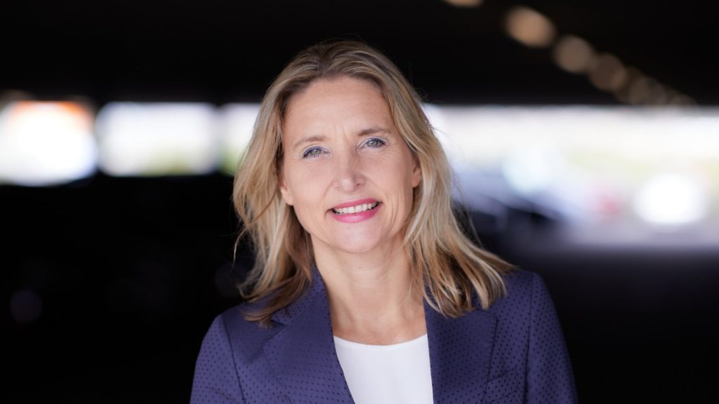 Organisation - Louwman Group